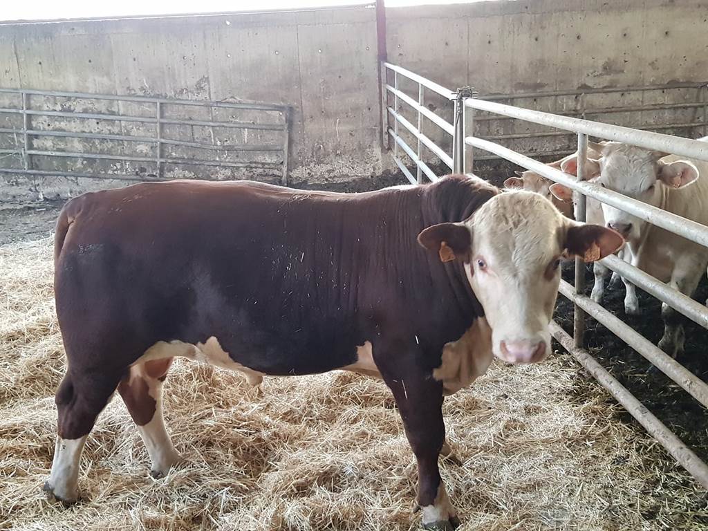 SCEA Singerytheres - Tourisme en Crêtes Préardennaises - Ardennes